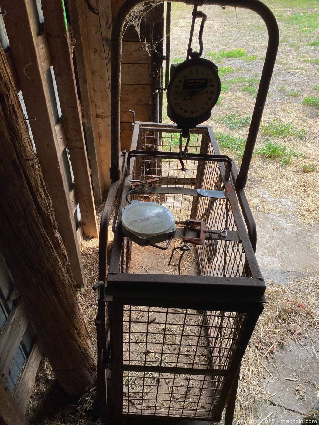 Small livestock weigh scale cage | Maxsold