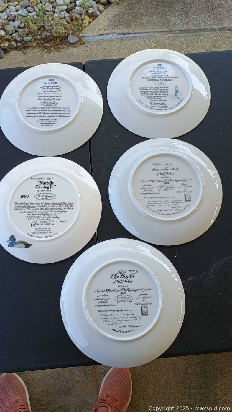 10 collector decorative plates with boxes | Maxsold