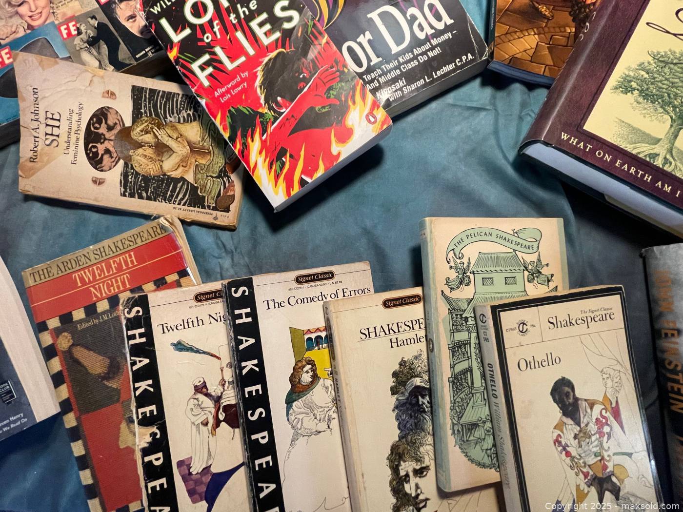 Approximately 18 Mixed-Genre Books | Maxsold