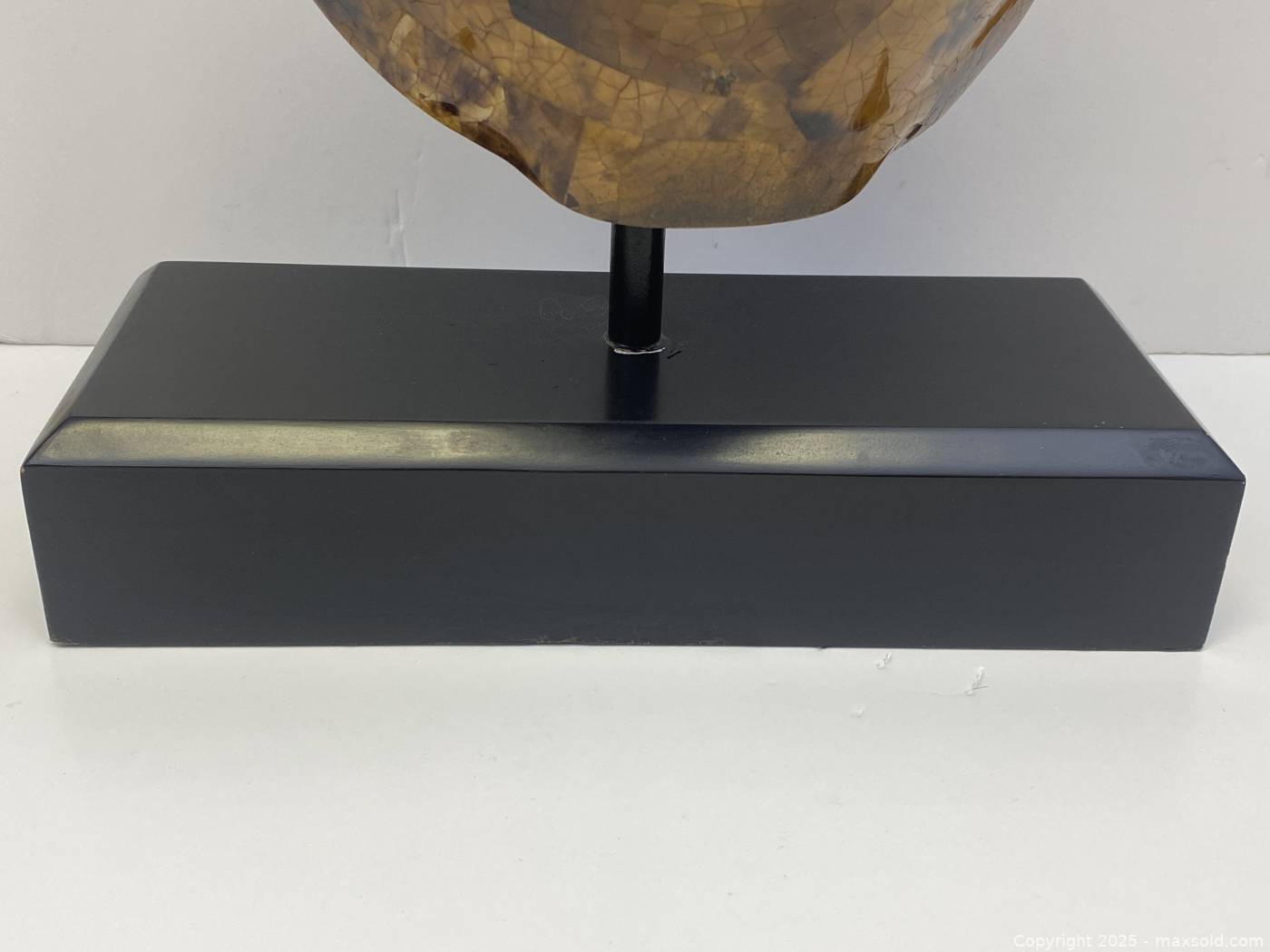 Faux loggerhead turtle shell on stand | Maxsold