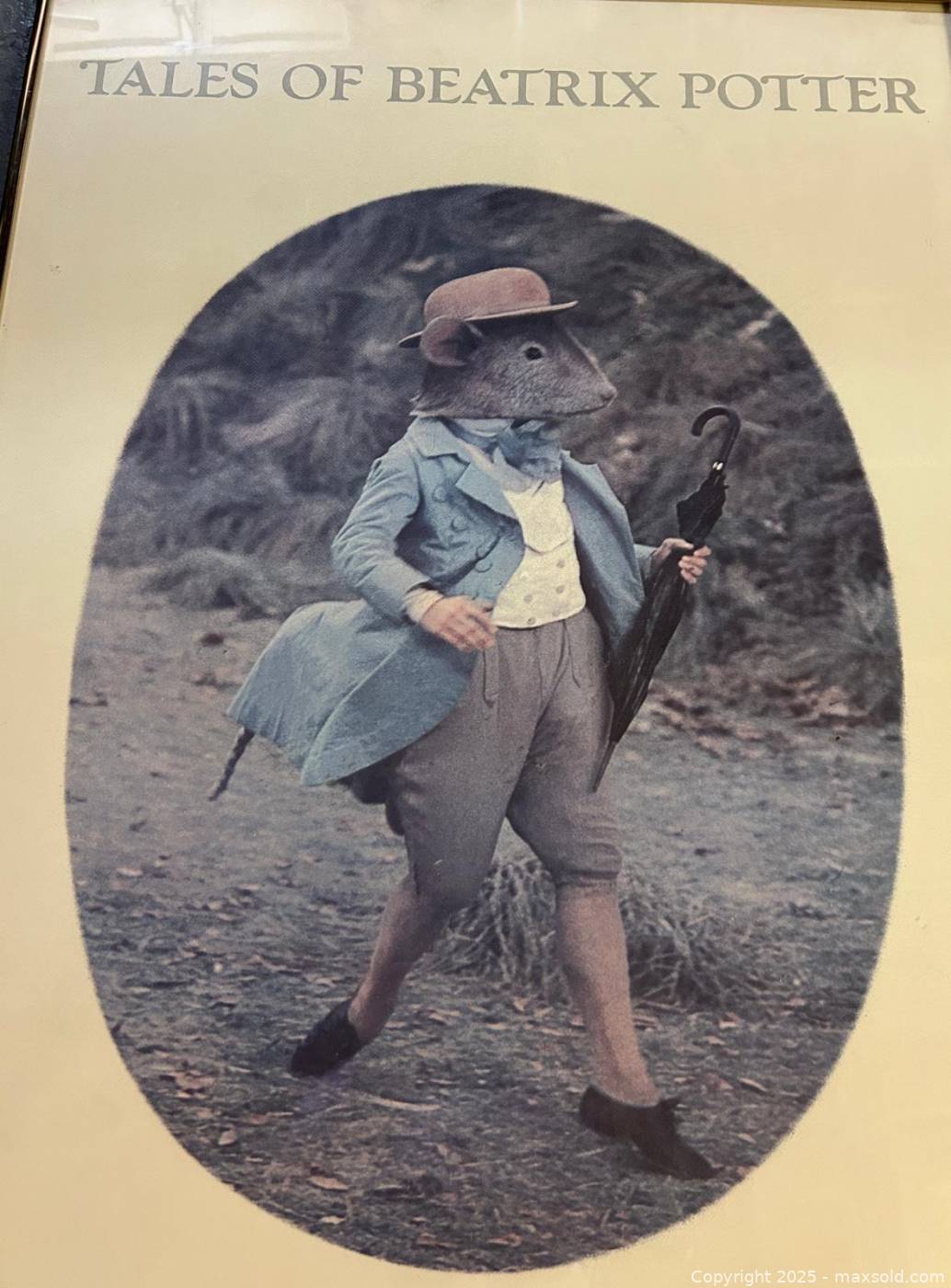 Tales of Beatrix Potter Johnny Town-Mouse framed poster | Maxsold