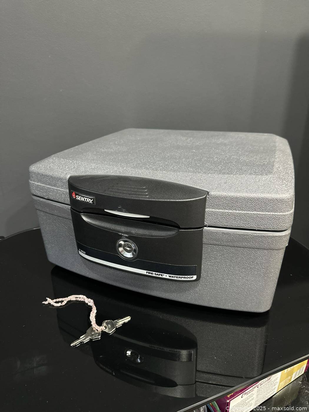 SentrySafe H2100 Waterproof Fire Safe with Keys | Maxsold