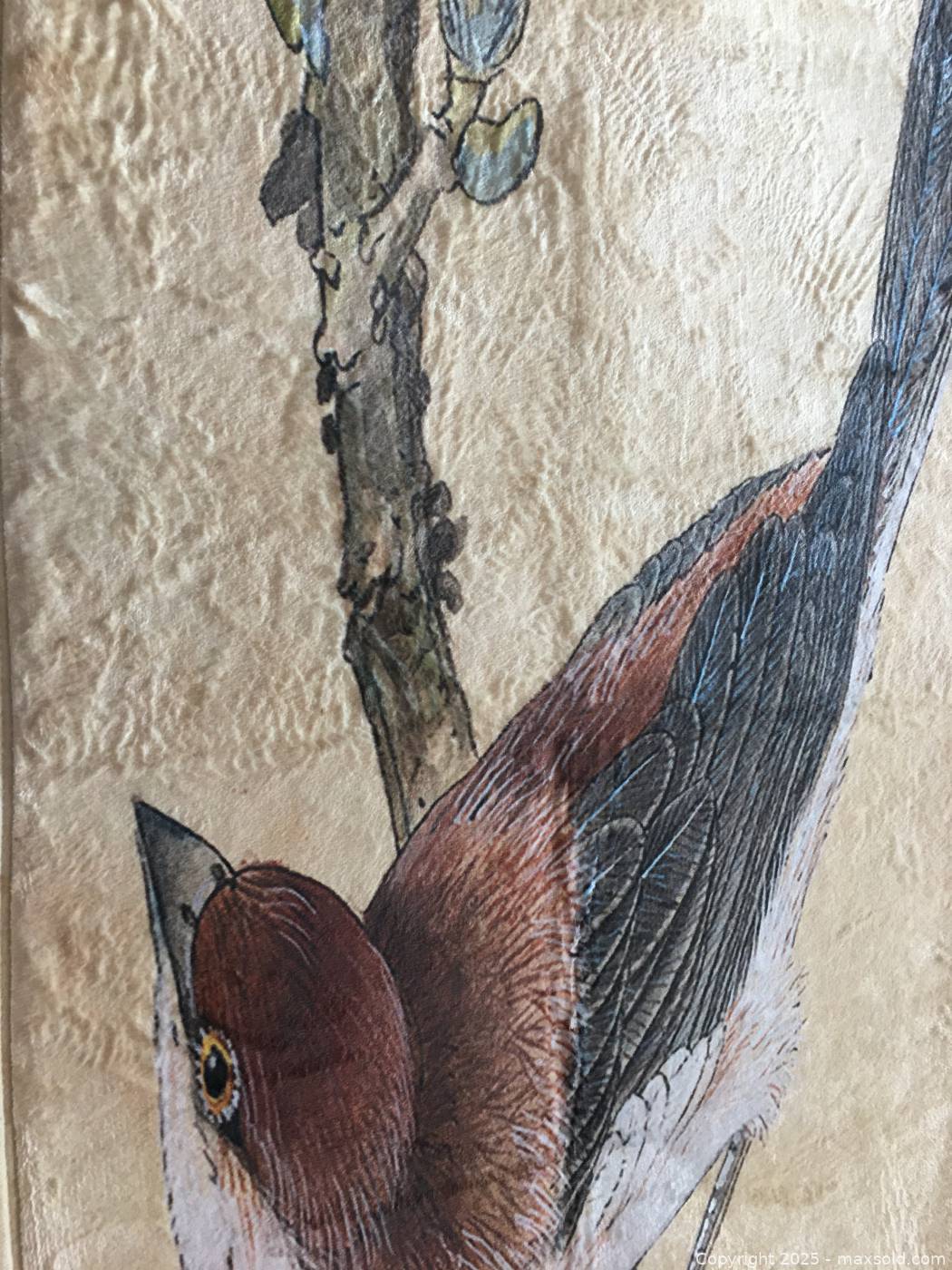 Songbird printed non-slip indoor door mat | Maxsold