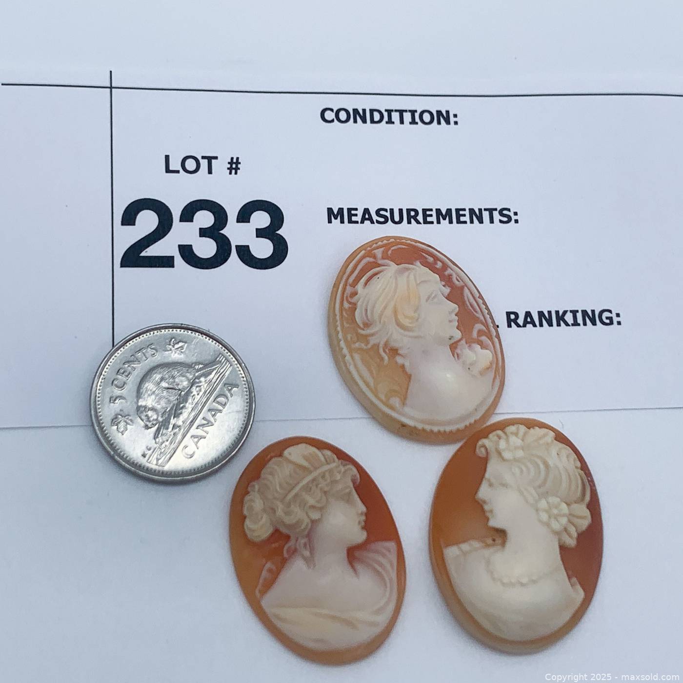Three genuine shell lady profile cameos | Maxsold