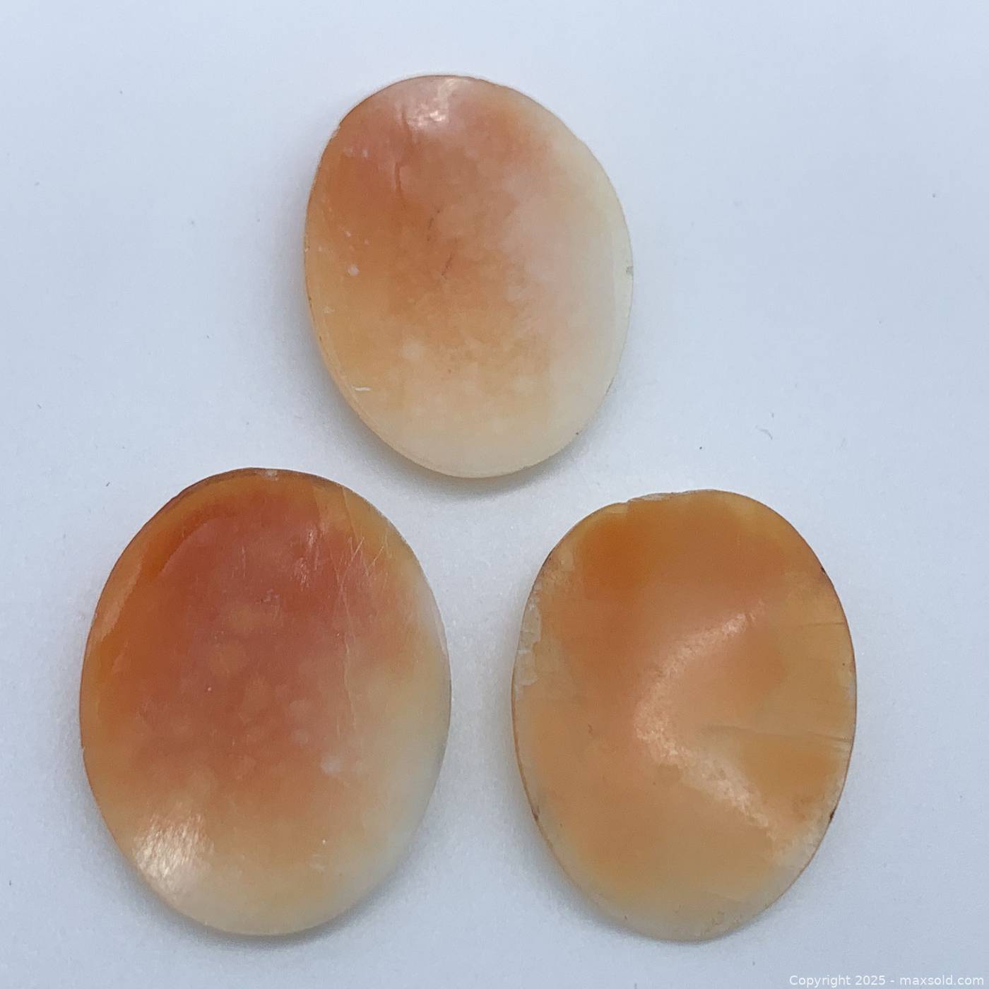 Three carved shell lady profile cameos | Maxsold