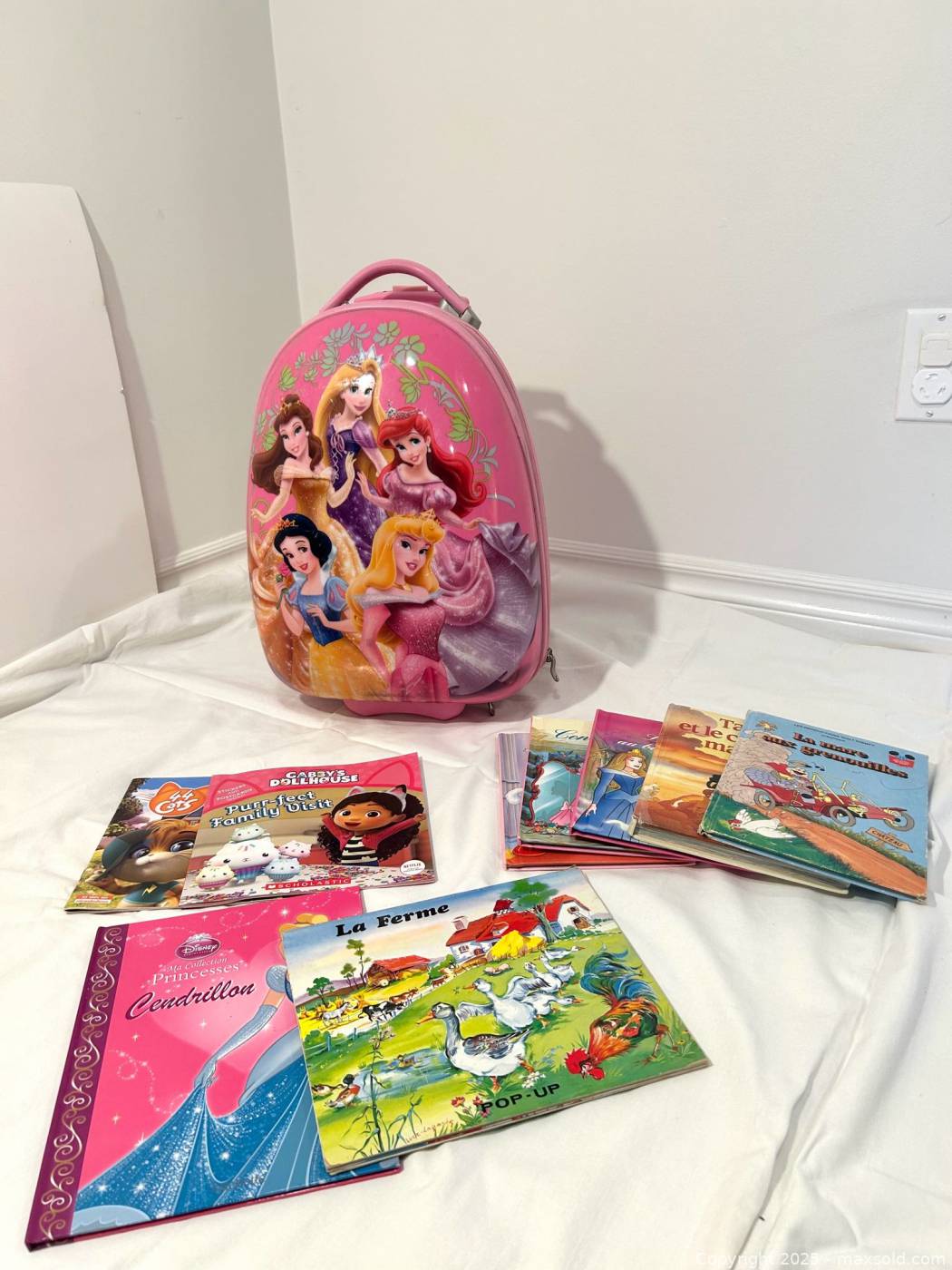 Disney Princess rolling suitcase with children’s books | Maxsold