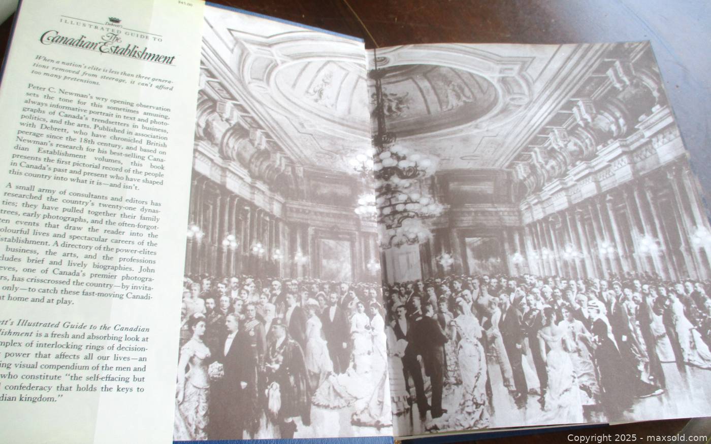 Debrett's Illustrated Guide To The Canadian Establishment hardcover ...