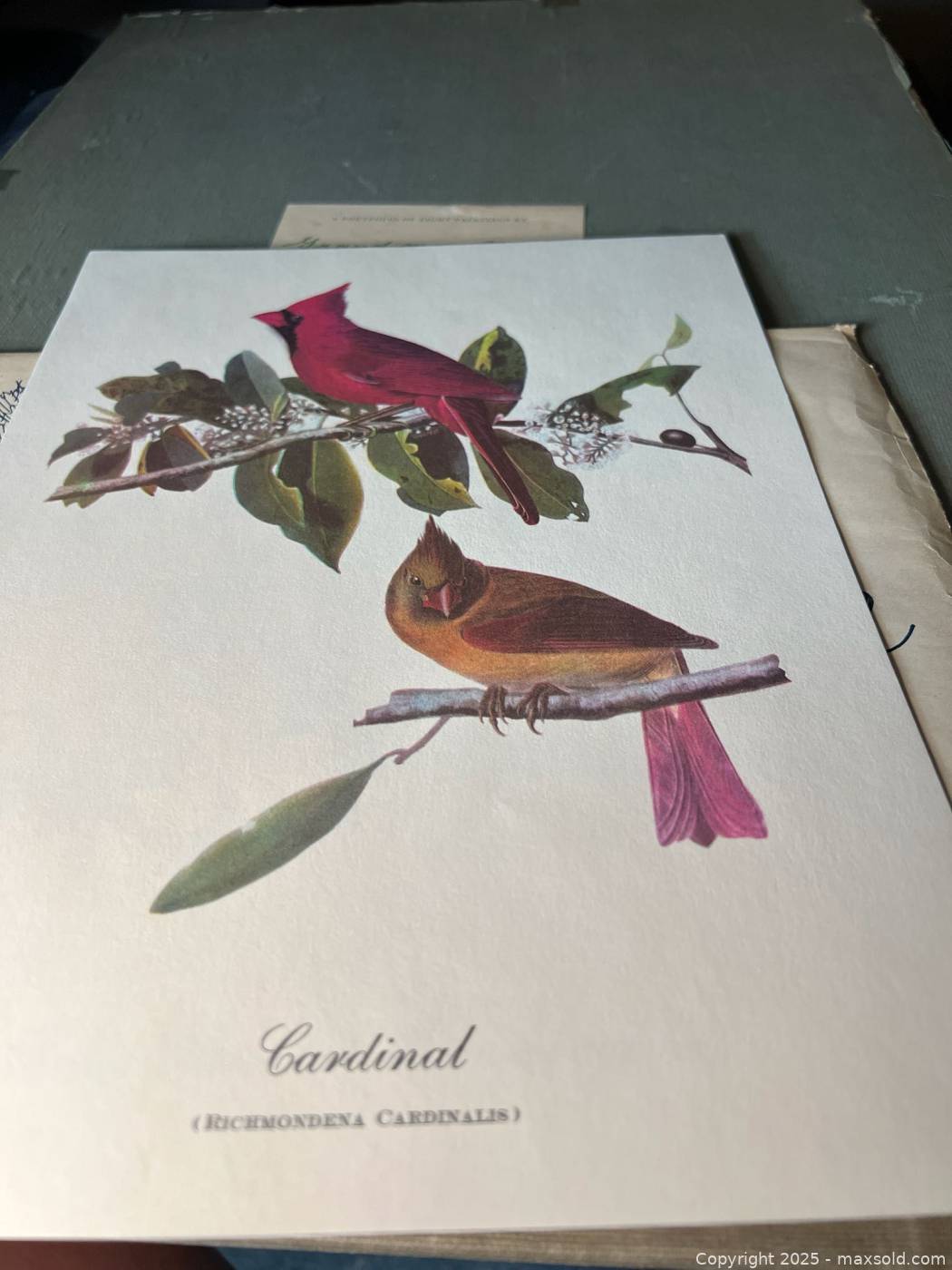 Vintage Art Print Portfolios Lot | Maxsold
