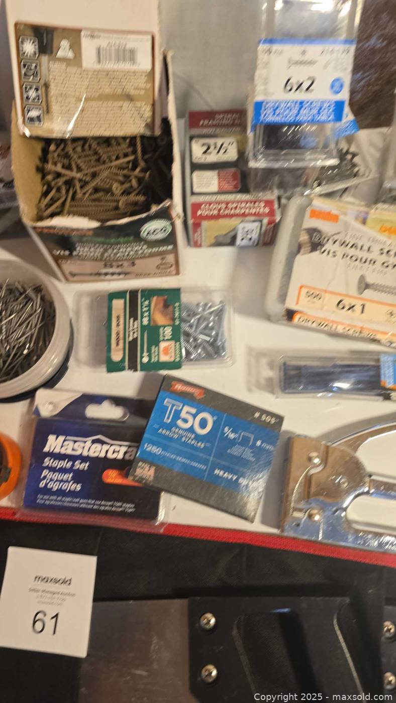 Tool belt, staple gun and fasteners | Maxsold