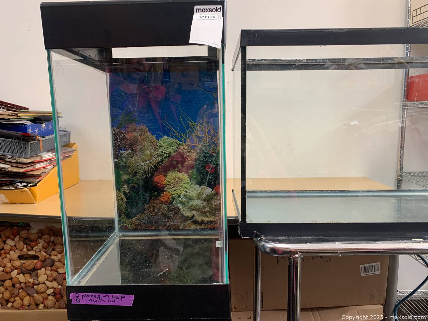 Two glass aquarium fish tanks with stand | Maxsold