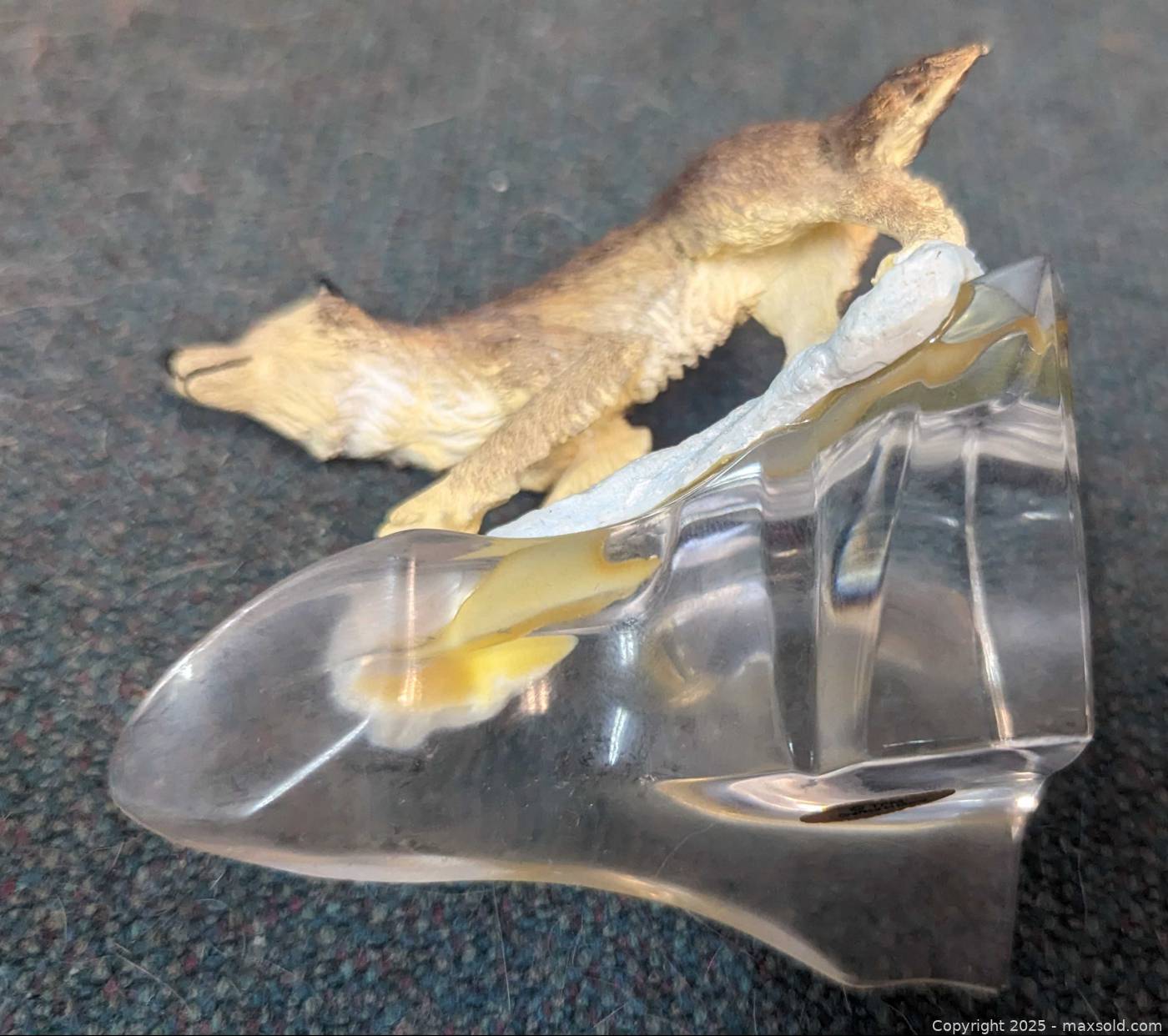 Franklin Mint resin wolf sculpture on glass ice base | Maxsold