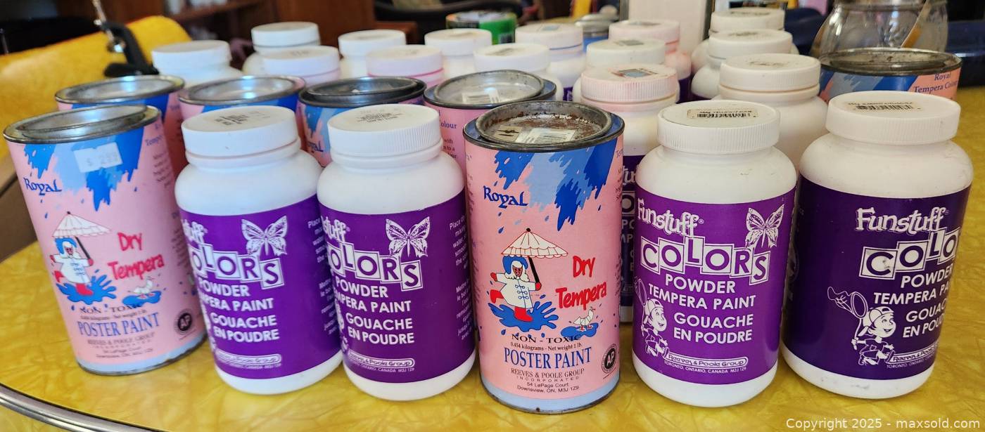 Powder tempera paint containers assorted | Maxsold
