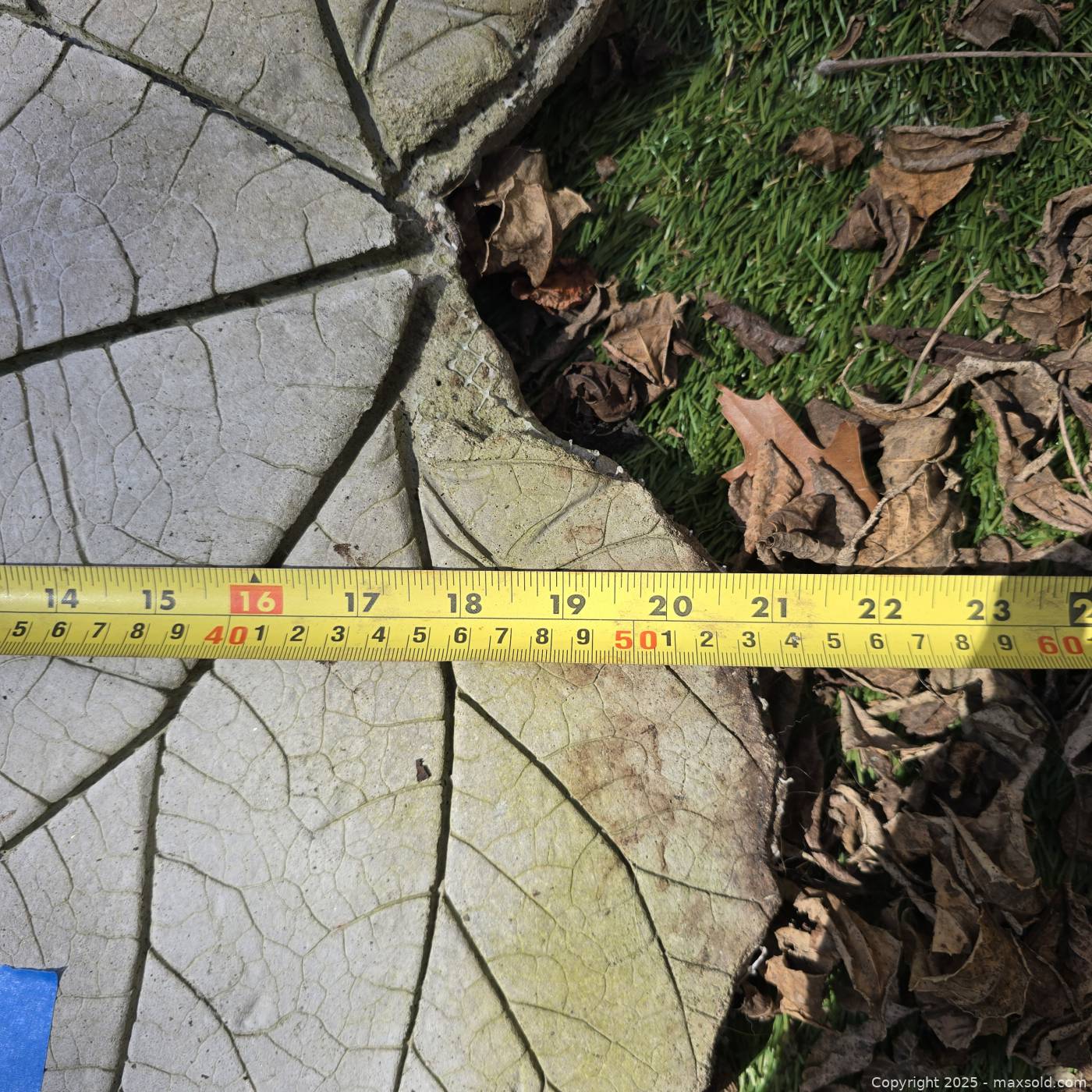Handmade concrete rhubarb leaf stepping stone | Maxsold