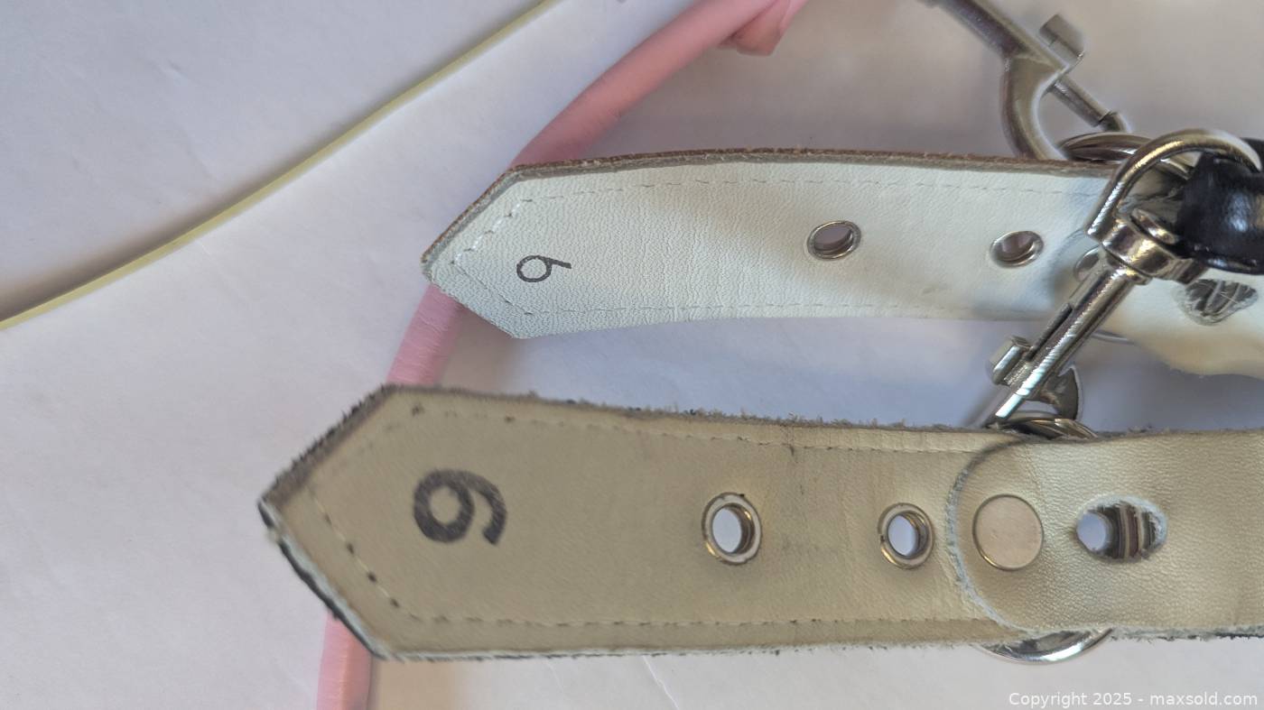 Buddy Belts leather dog harnesses & leashes, size 6 | Maxsold