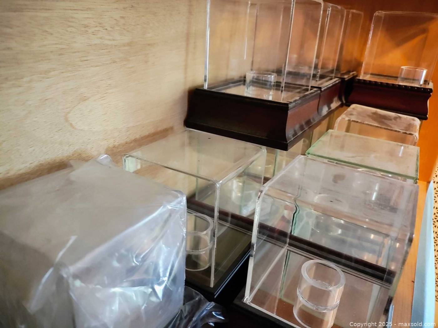 Square Display Cases With Wood Bases | Maxsold