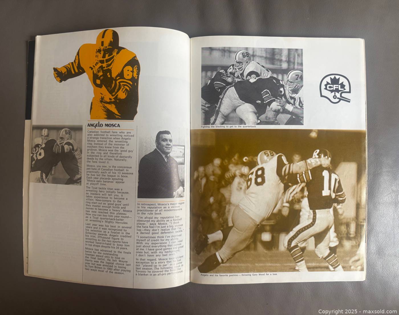 1972 CFL Hamilton Tiger-Cats vs Ottawa Rough Riders program | Maxsold