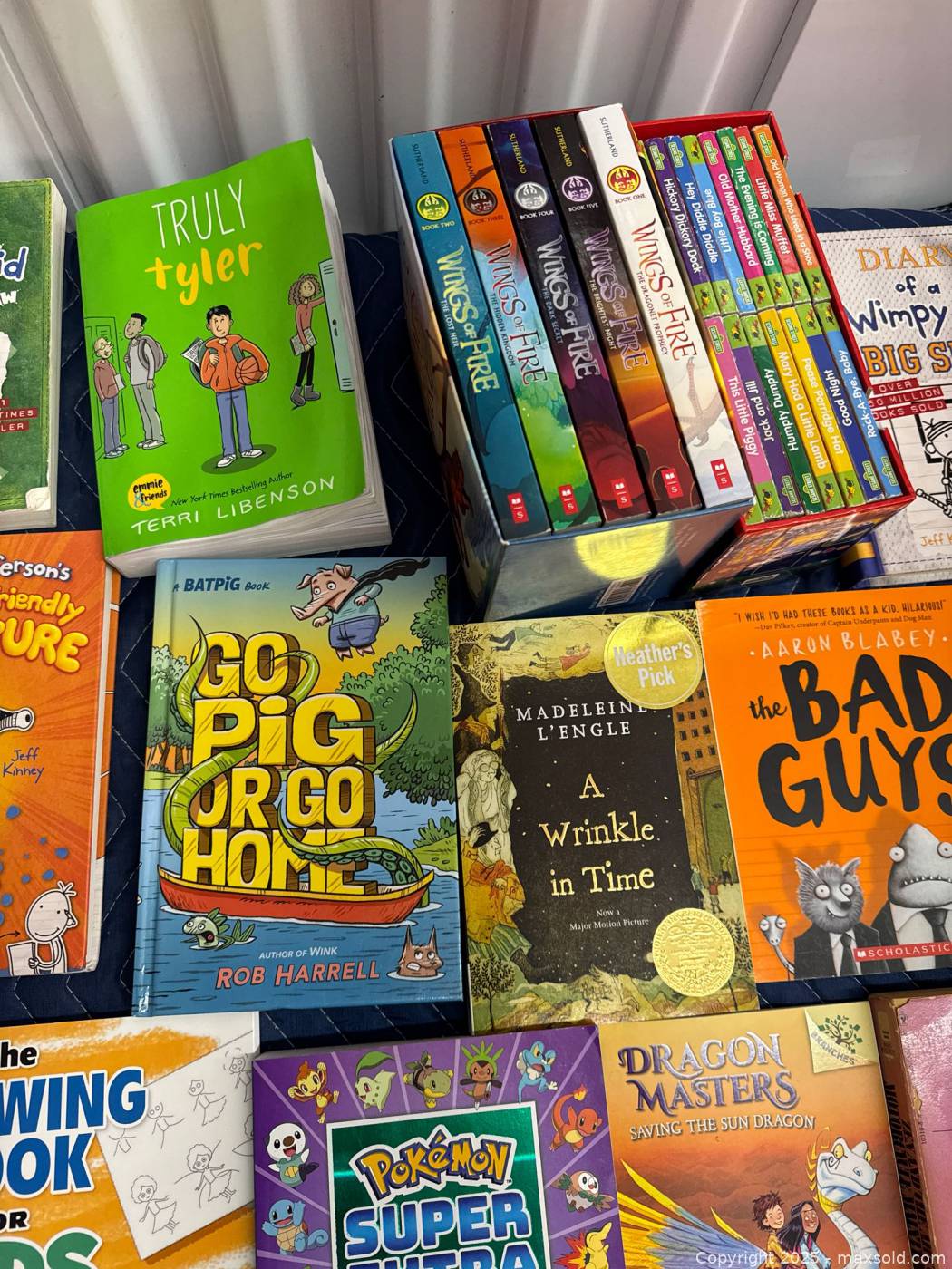 Children’s & tween book assortment | Maxsold