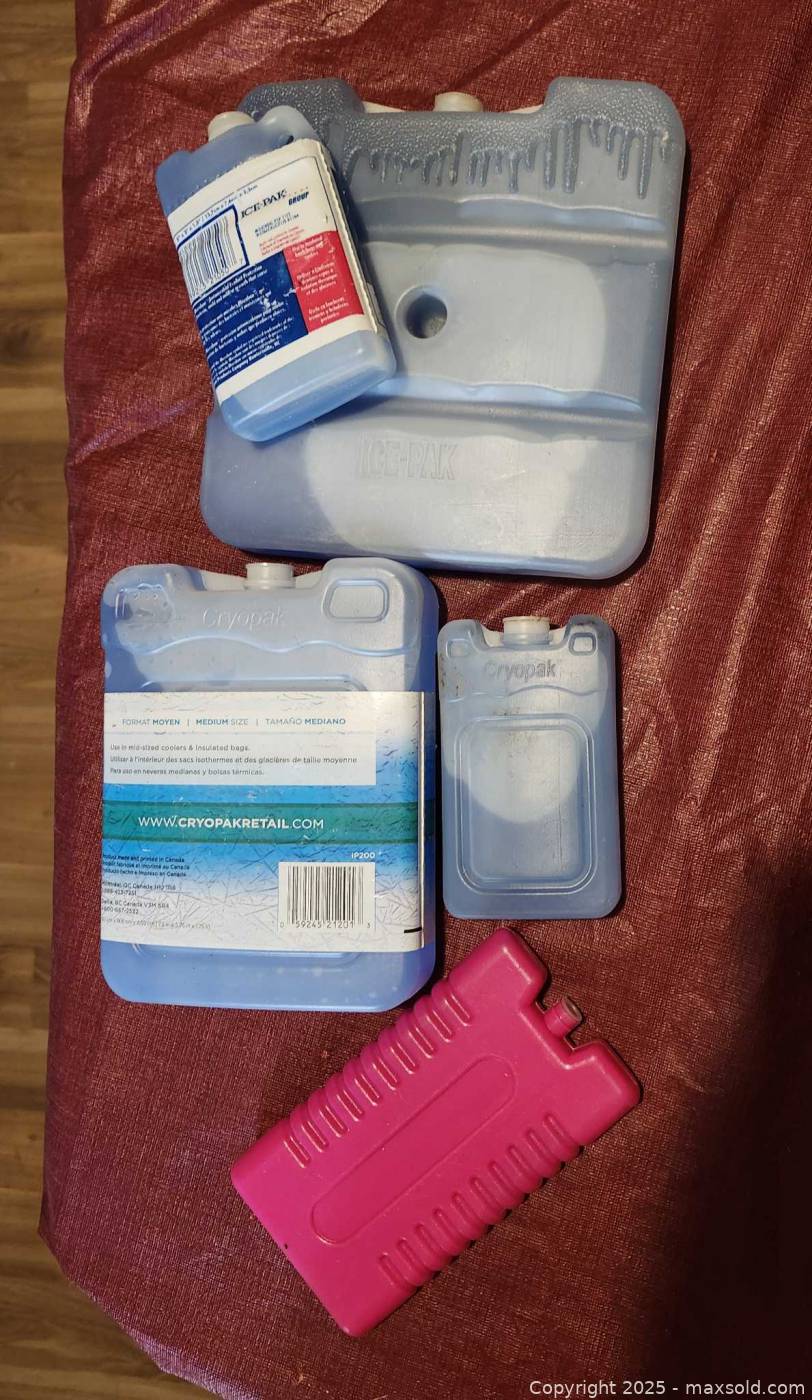 Ice-Pak And Cryopak Freezer Ice Packs, 5 Pieces | Maxsold