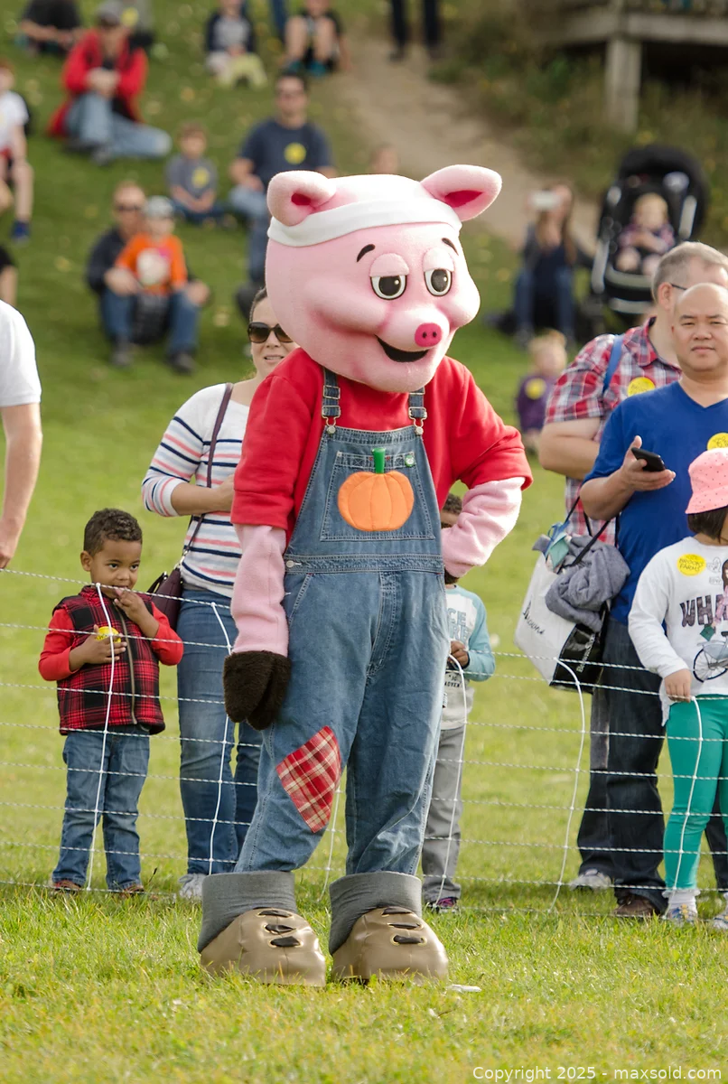 Brooks Farms Fall Fun Festival family pass for 4 | Maxsold