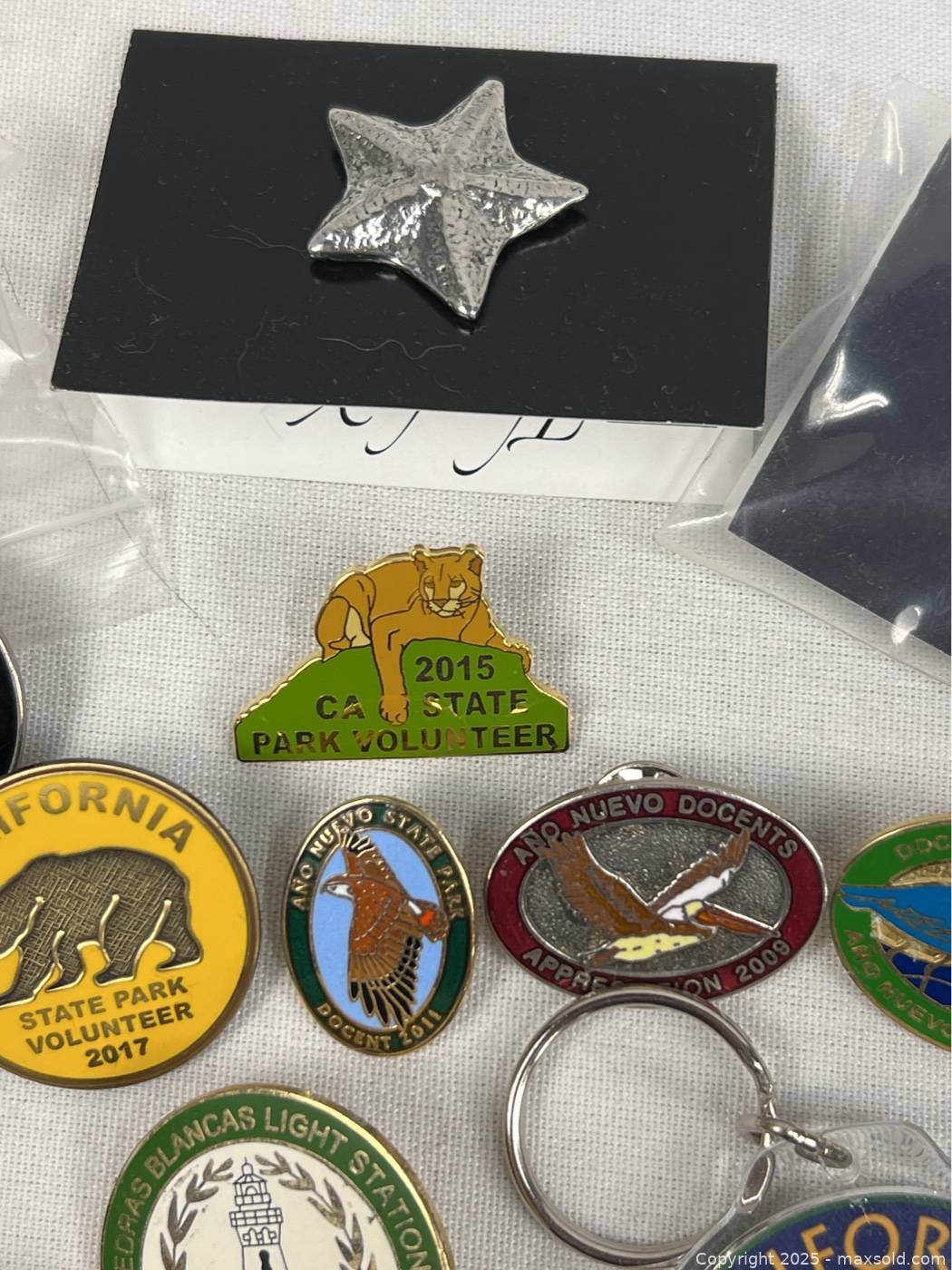 California State Parks pins, volunteer & docent pins, keychain, star ...