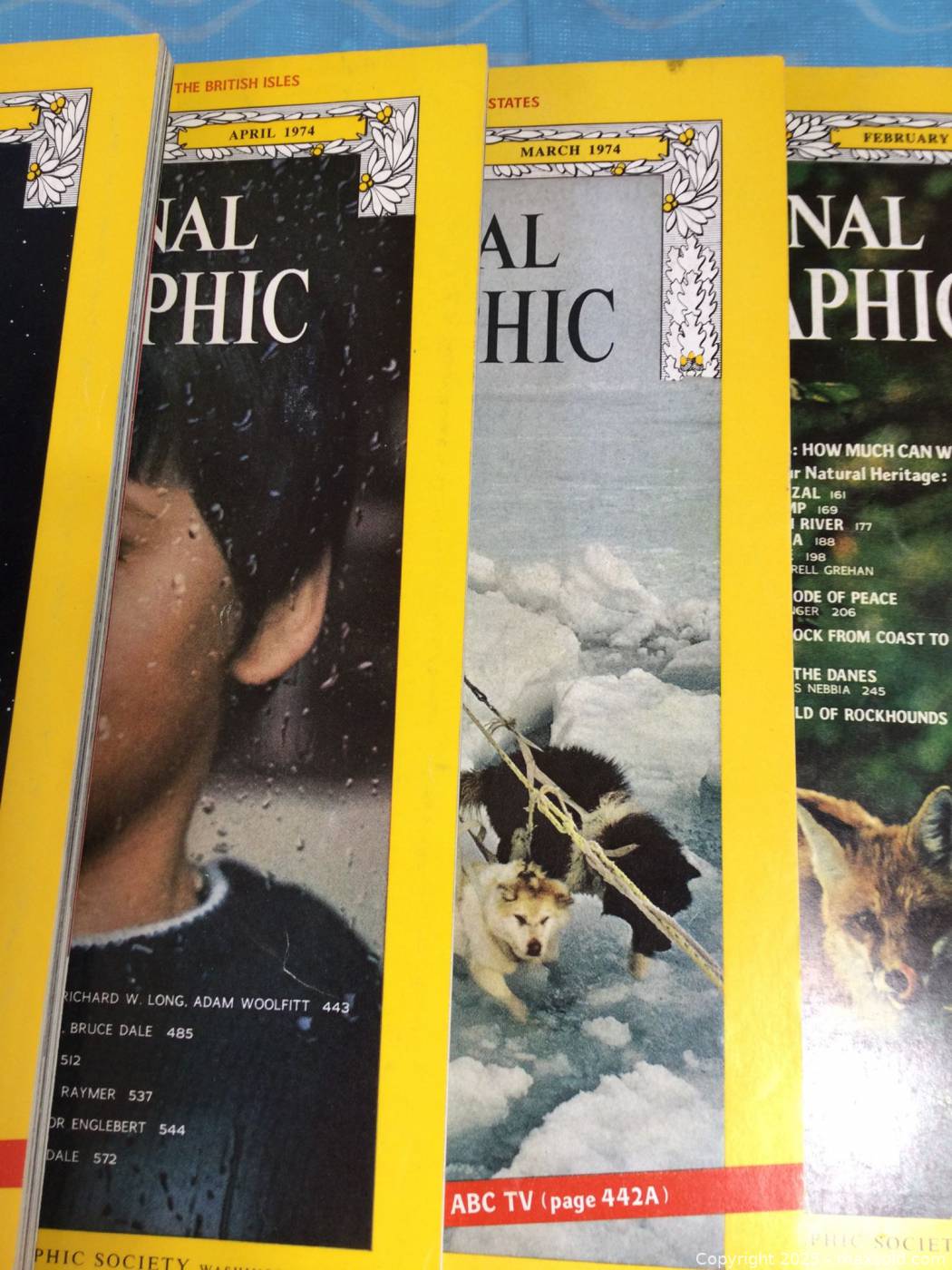 National Geographic magazines 1974 set of 11 | Maxsold