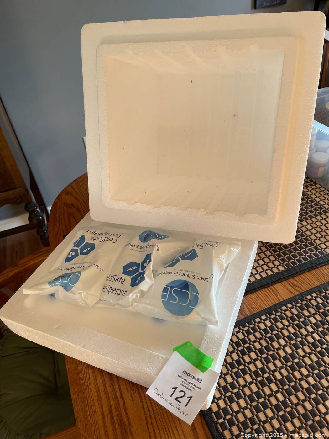 Styrofoam cooler with two gel ice packs | Maxsold