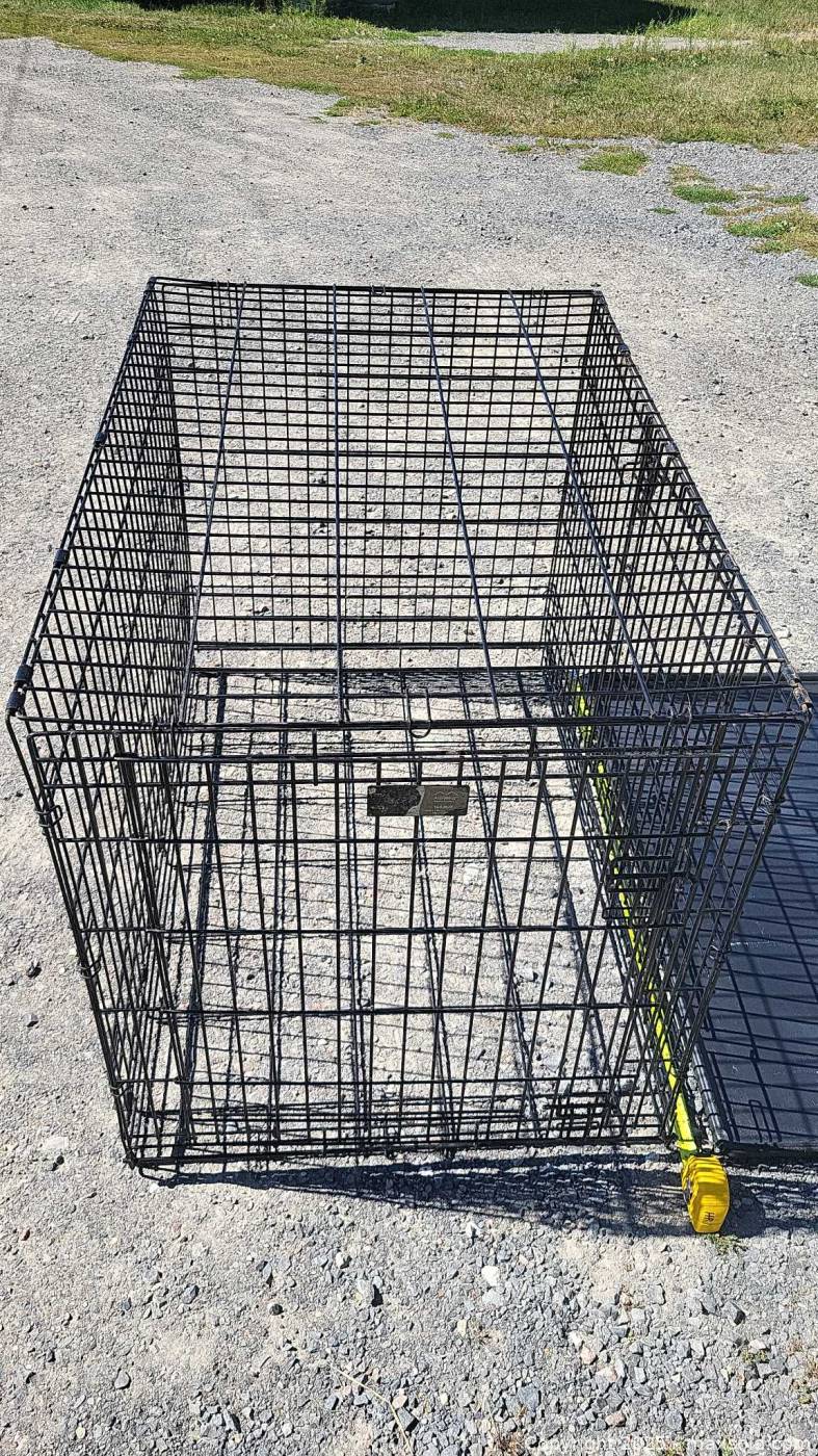 MidWest 42" iCrate double-door folding wire dog crate | Maxsold