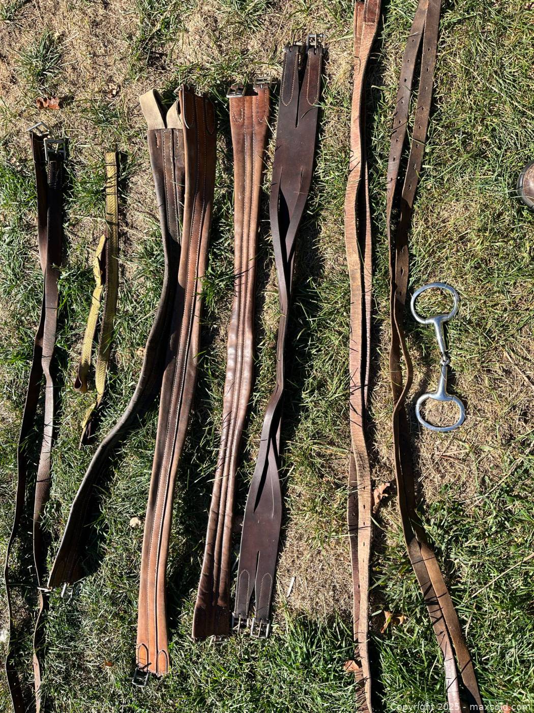 English tack leathers, girths, bit | Maxsold