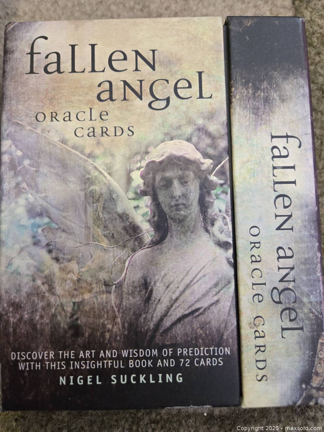 Fallen Angel Oracle Cards Deck & Book | Maxsold