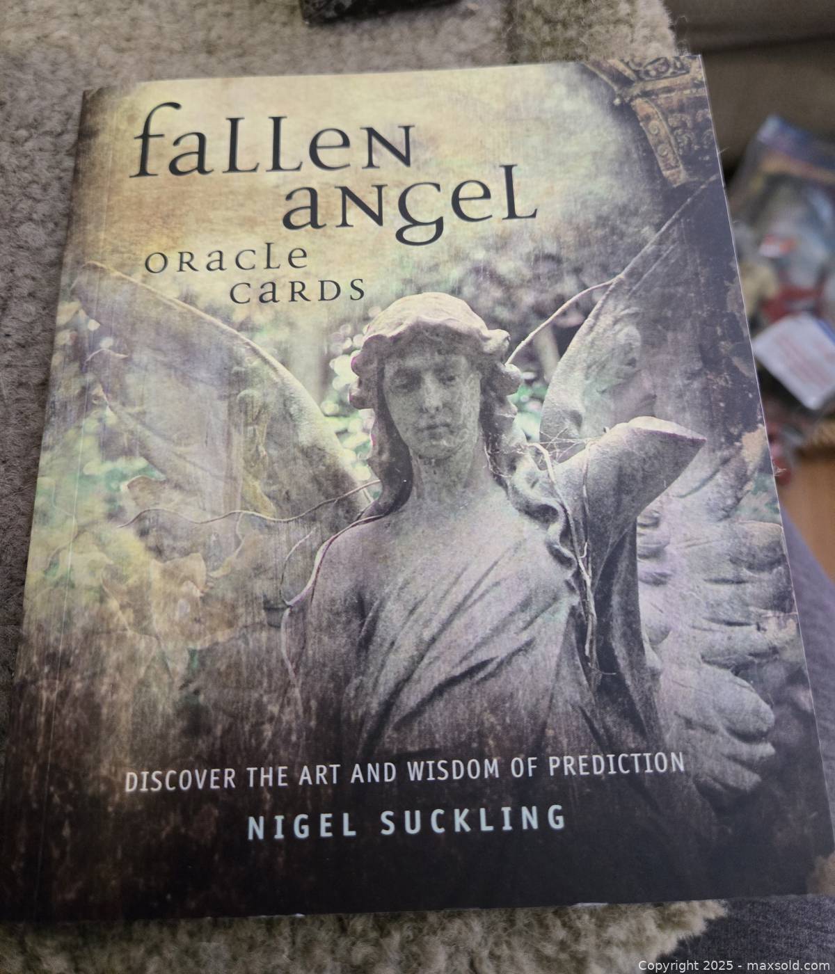 Fallen Angel Oracle Cards Deck & Book | Maxsold