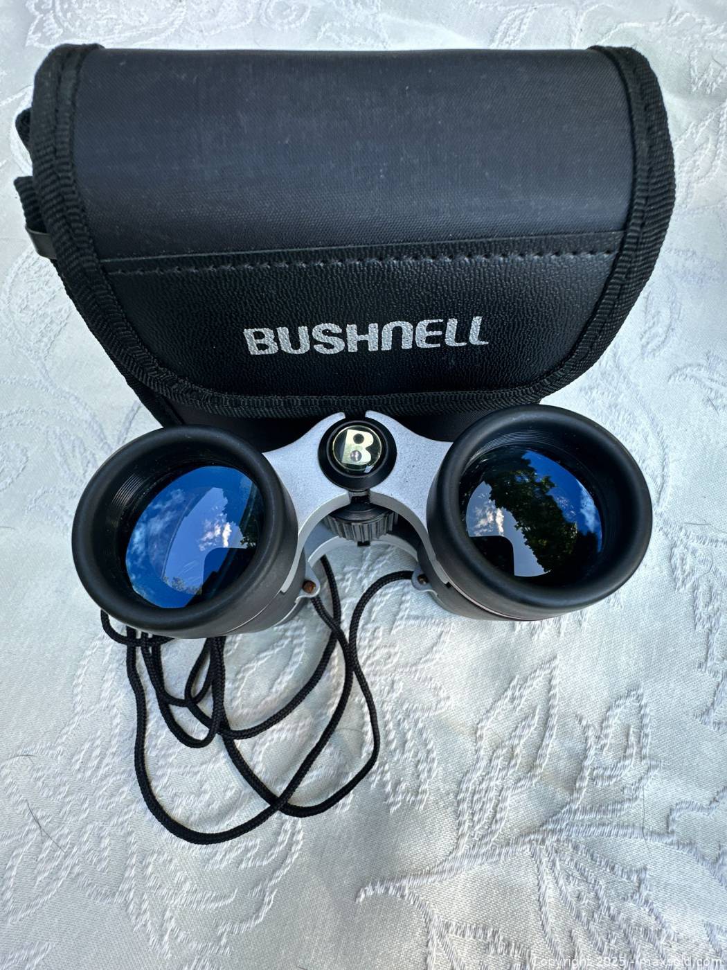 Bushnell Powerview 4x30 binoculars with pouch | Maxsold