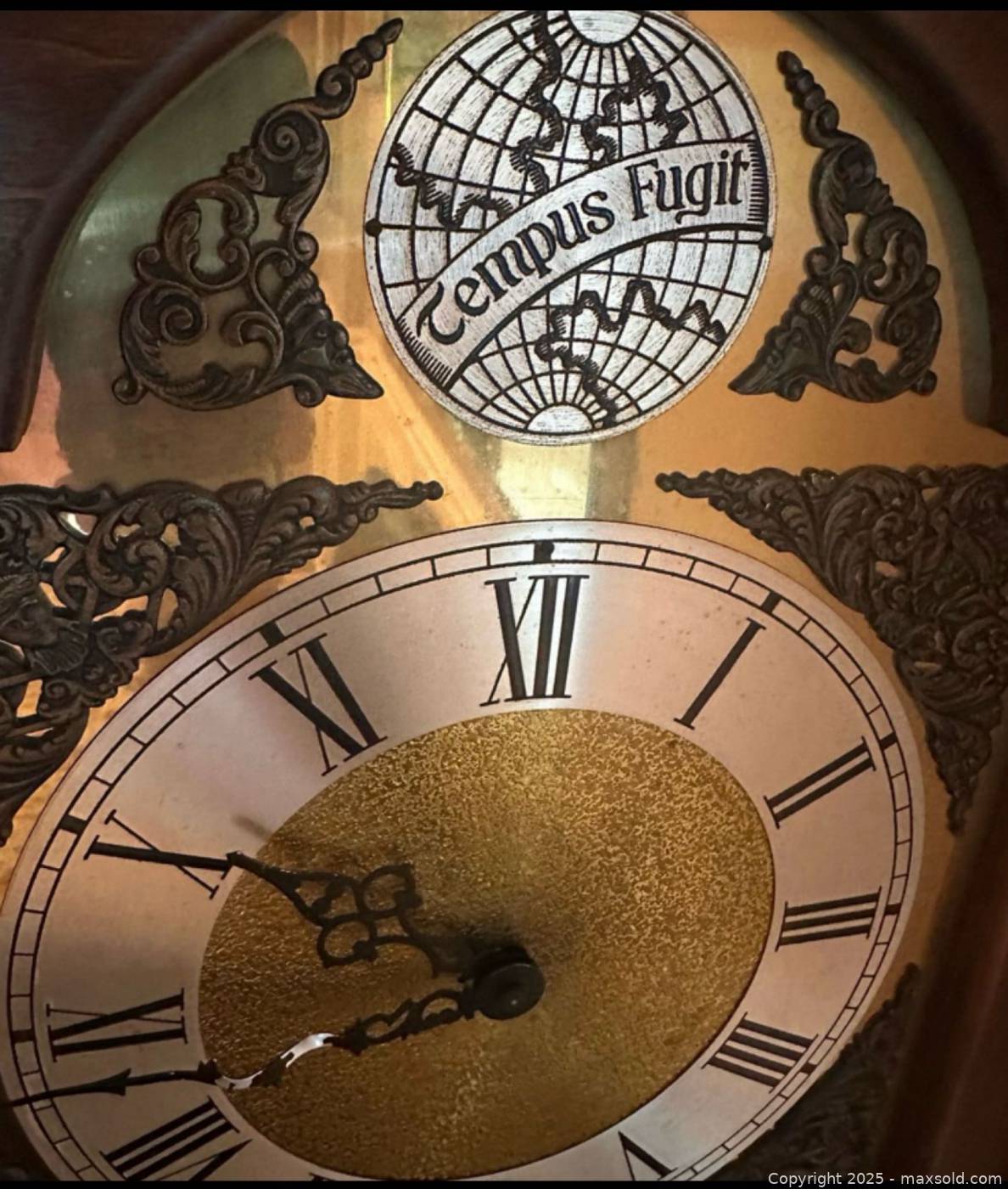 Tempus Fugit 1969 Western Germany grandfather clock | Maxsold