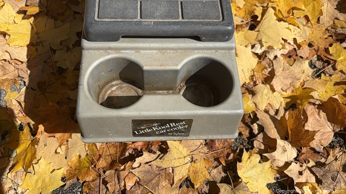 Igloo Little Kool Rest car cooler | Maxsold