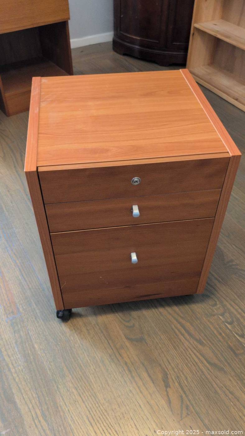 Mobile pedestal filing cabinet on casters | Maxsold