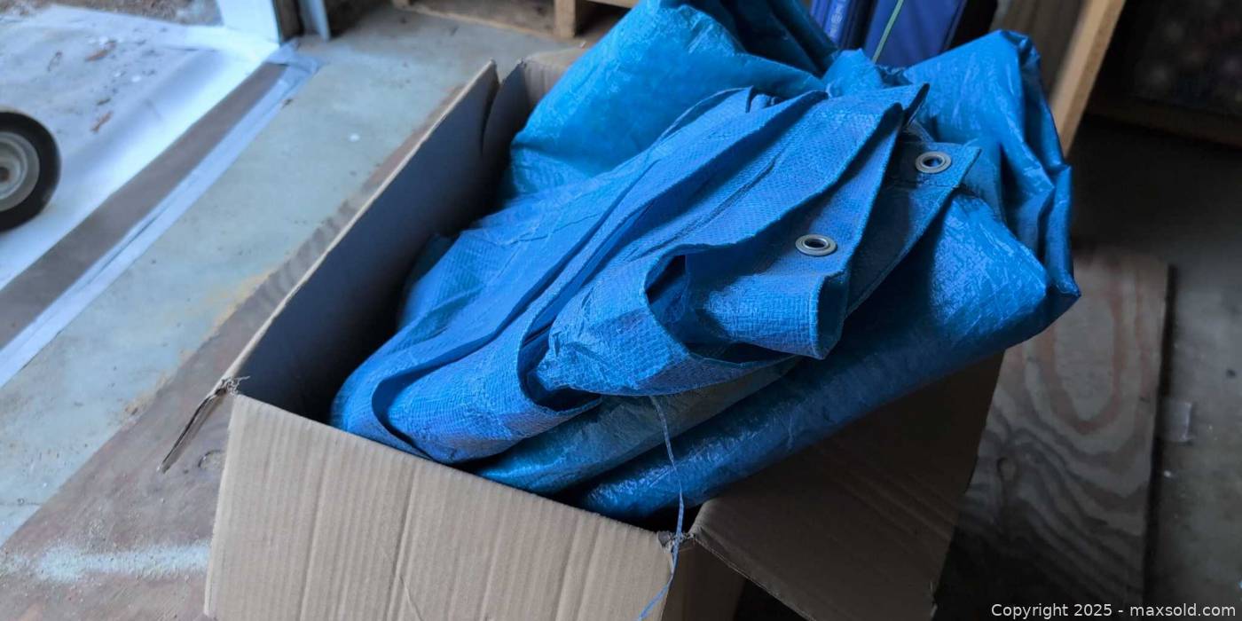Assorted blue polyethylene tarps | Maxsold