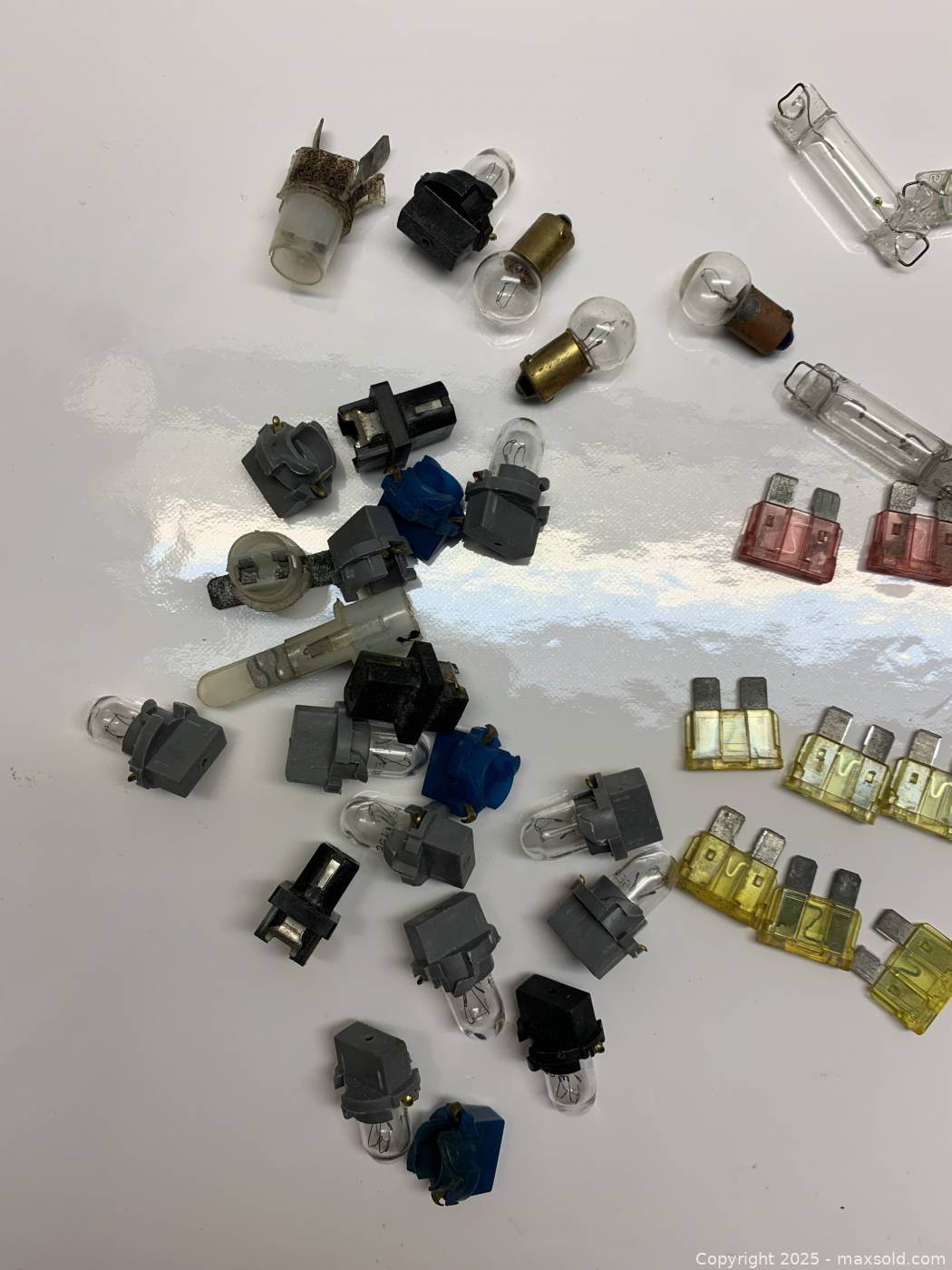Assortment of Automotive Fuses and Bulbs | Maxsold