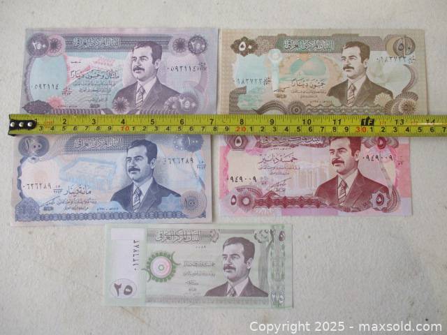 Iraqi Saddam Hussein 5–250 Dinar Banknotes (5) | Maxsold