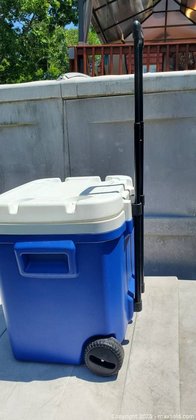 Igloo Laguna 60 wheeled cooler 60-quart | Maxsold