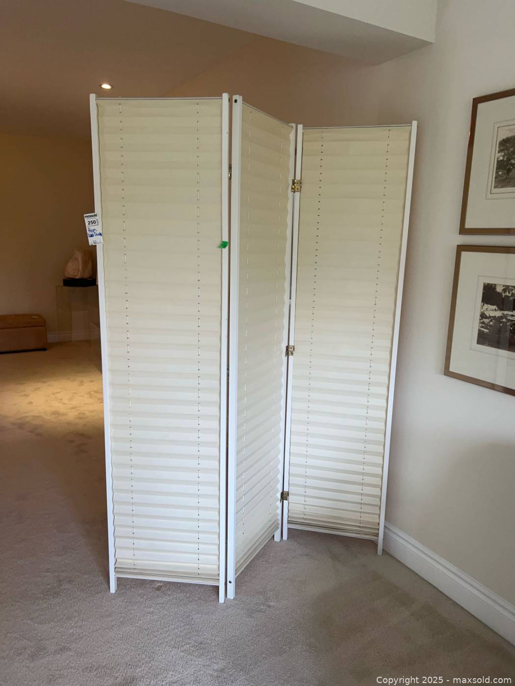 4-Panel Folding Privacy Screen 51x70 | Maxsold