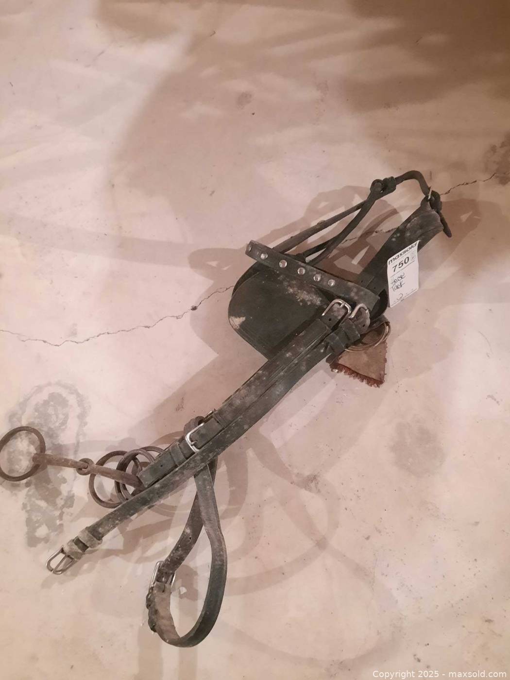 Leather horse bridle with metal bit | Maxsold