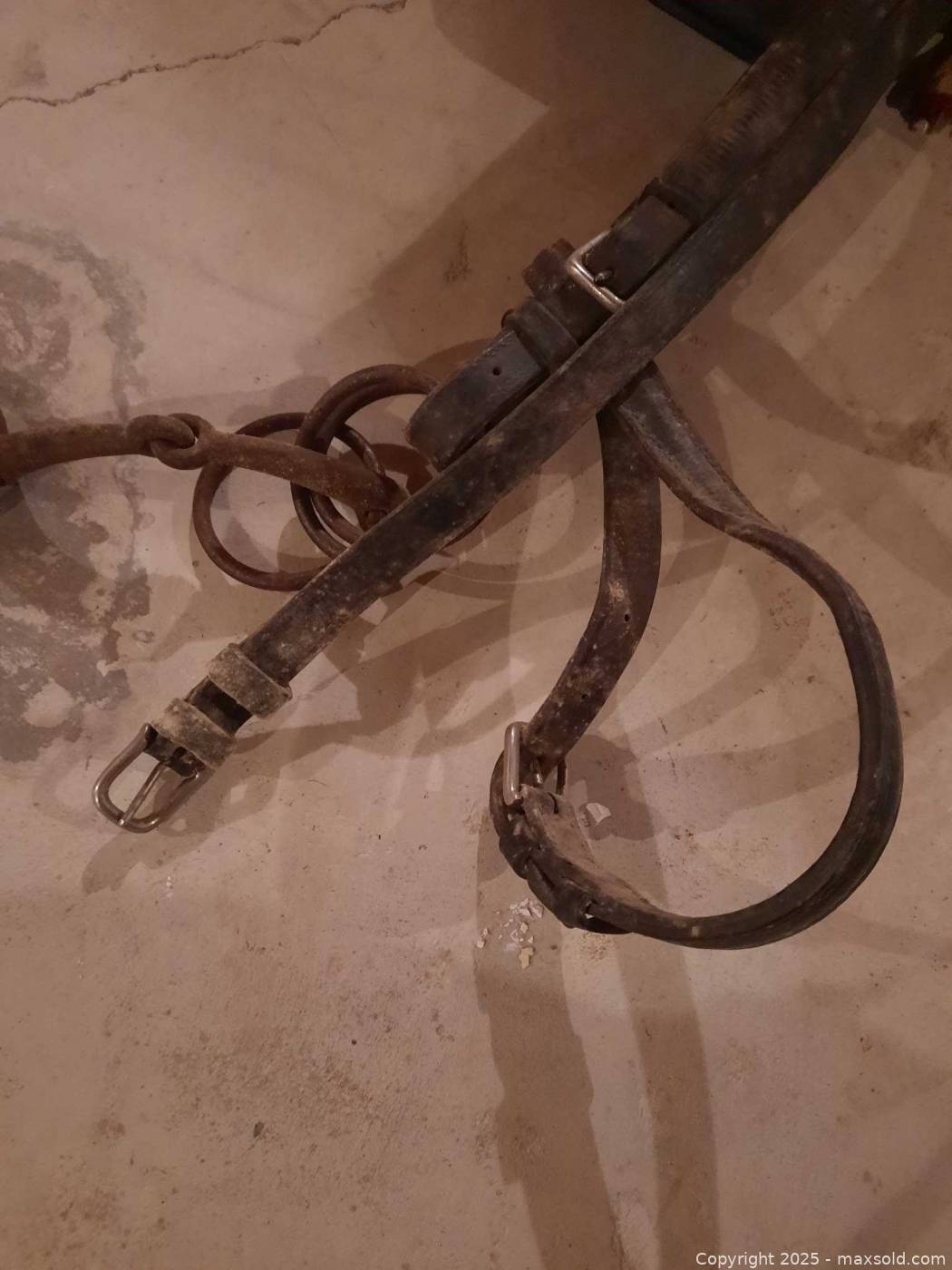 Leather horse bridle with metal bit | Maxsold