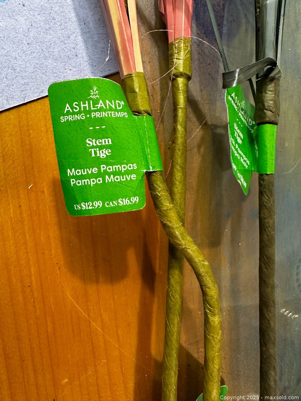 Ashland decorative pampas stems bundle mauve pink black | Maxsold