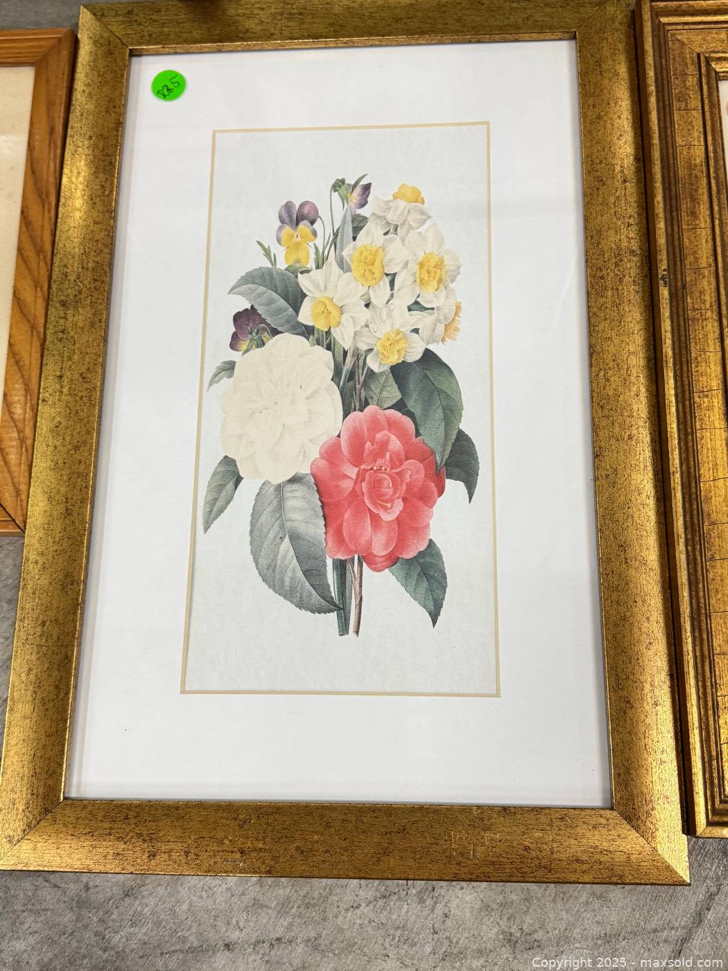 Set of 6 framed botanical, still-life & landscape art | Maxsold