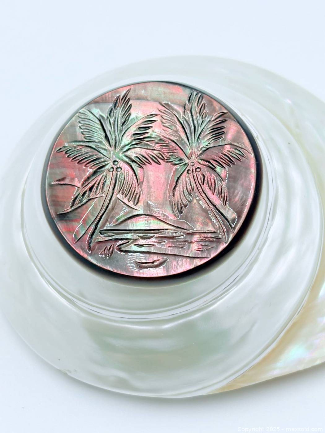 Trochus Niloticus carved mother-of-pearl shell | Maxsold