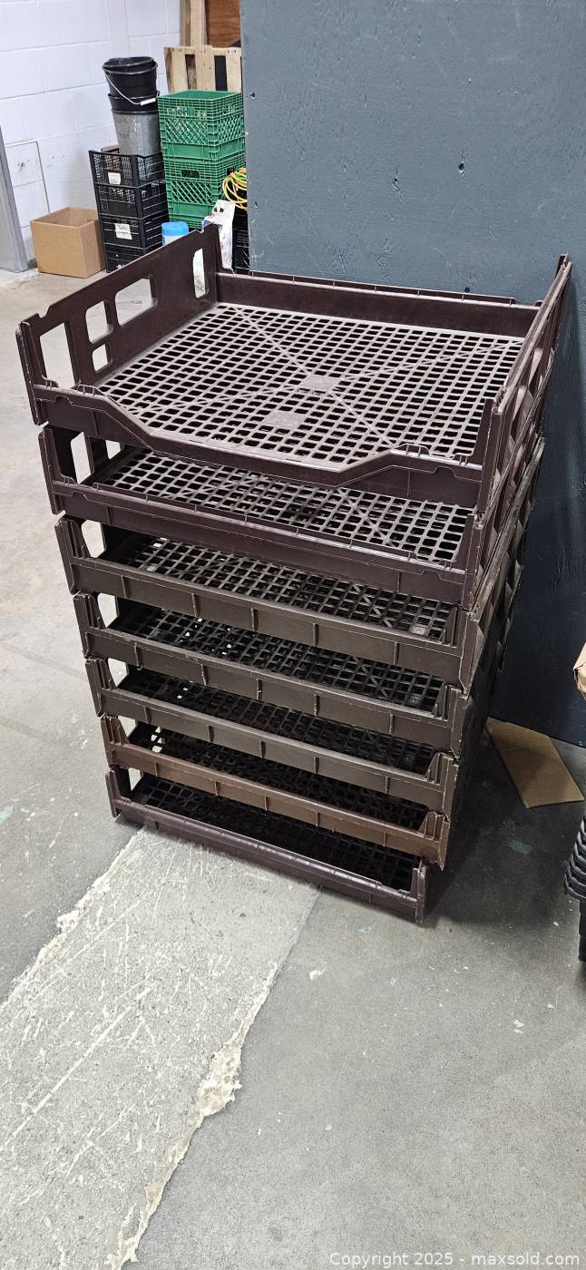 Stack of 7 Plastic Bread Trays | Maxsold