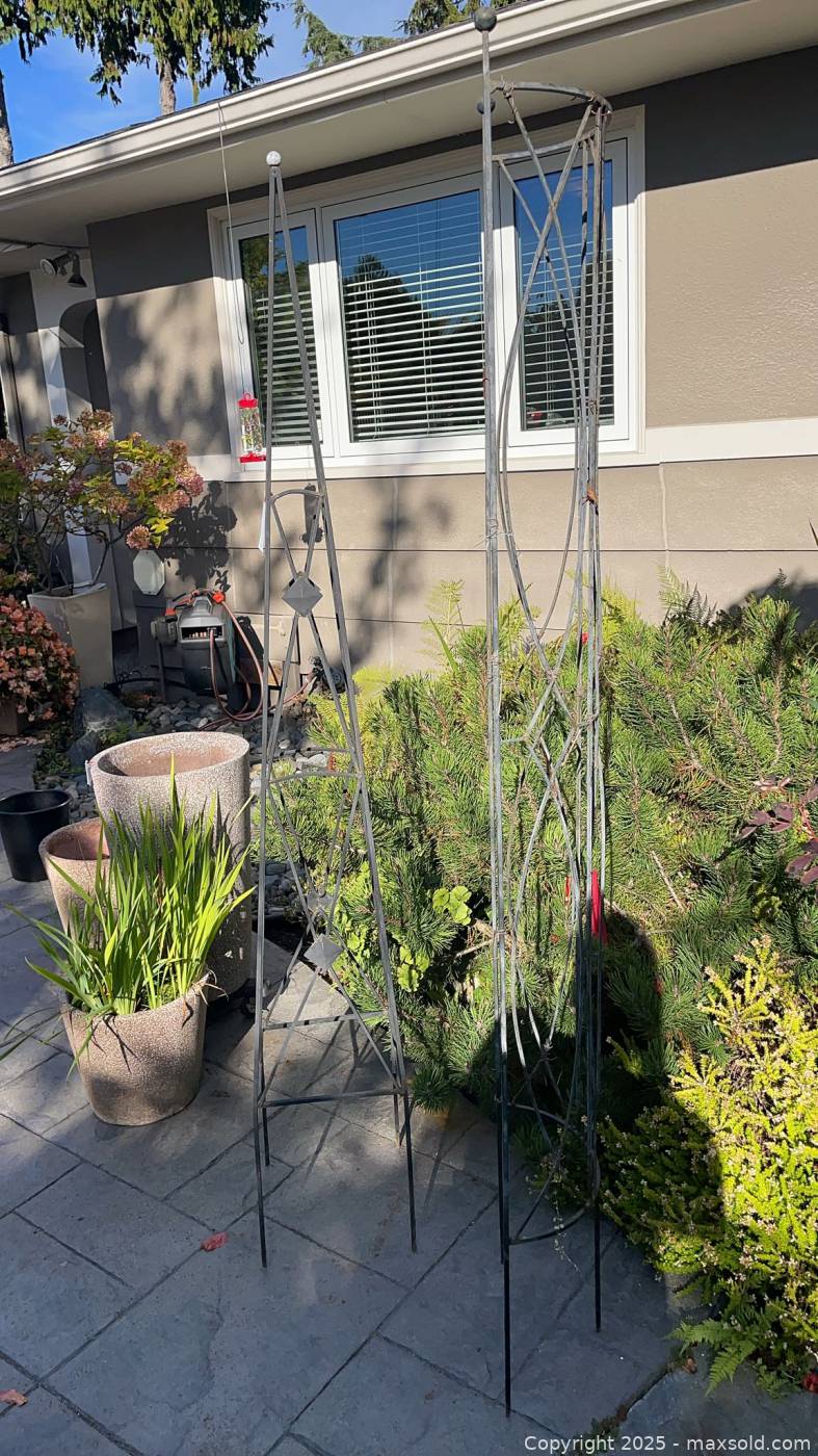 Set of 2 Metal Garden Trellises | Maxsold