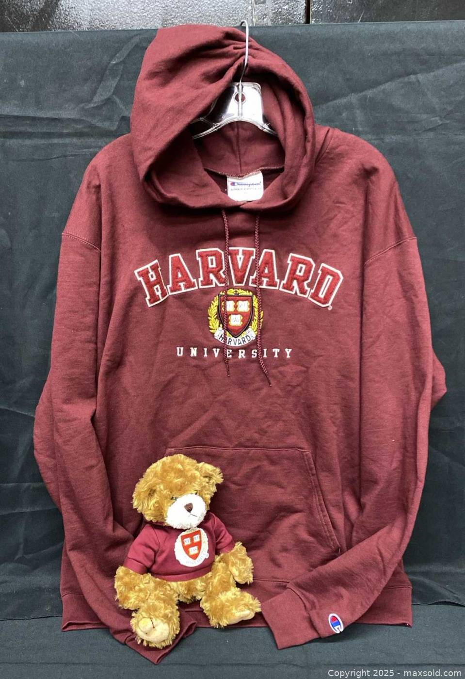Harvard Champion XL Hoodie With Teddy Bear | Maxsold