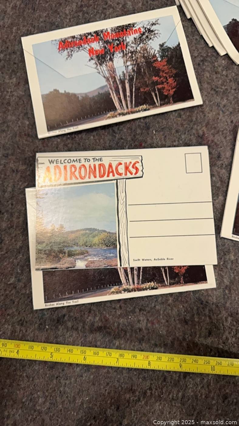 24 identical Adirondack fold-out postcards | Maxsold