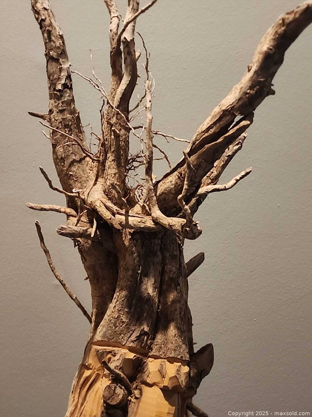 Signed root head wood carving folk art | Maxsold