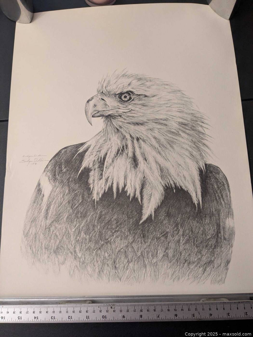 Signed Bald Eagle Lithograph 17x23 | Maxsold